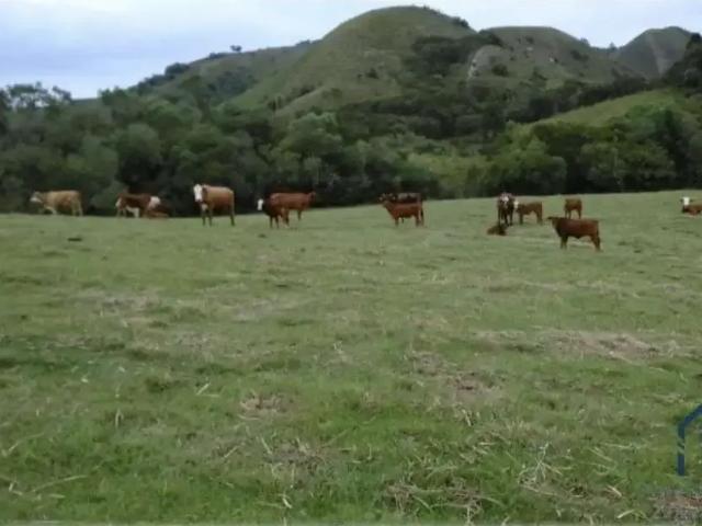Fazenda para Venda em Santana da Boa Vista/RS Centro 3 Quartos