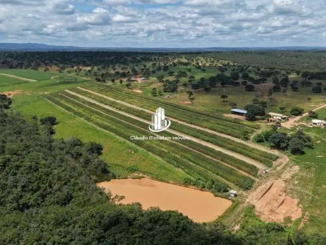 Fazenda para Venda em Santana de Pirapama/MG Zona Rural