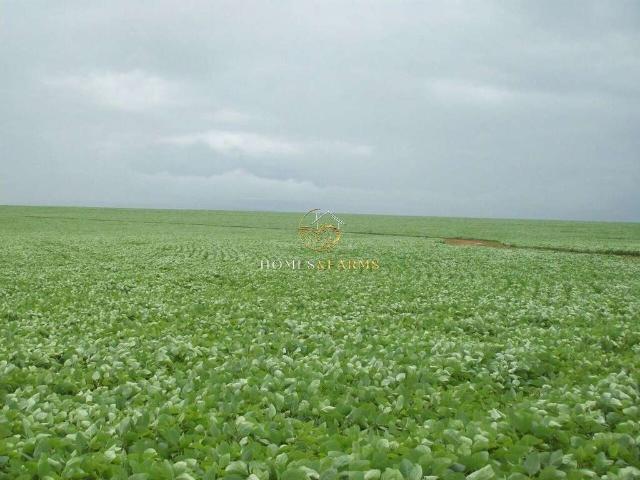 Fazenda para Venda em Santana do Araguaia/PA Zona Rural 3 Quartos