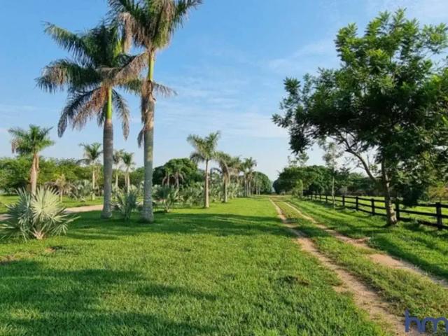 Fazenda para Venda em Santana do Araguaia/PA Zona Rural