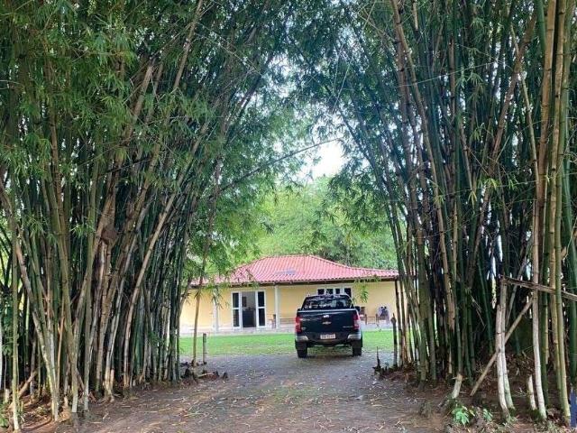 Fazenda para Venda em Santana do Araguaia/PA Zona Rural