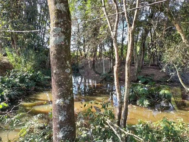 Fazenda para Venda em Sarandi/PR Jardim Centro Civico 2 Quartos