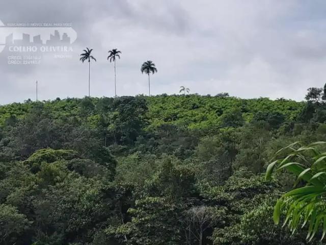 Fazenda para Venda em Sete Barras/SP Zona Rural