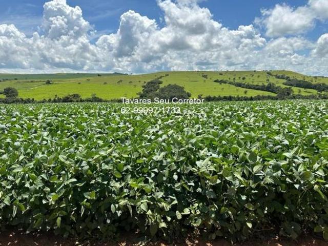 Fazenda para venda em Setor Central, Anápolis