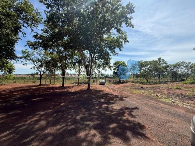 Fazenda para venda em Setor Central, Aparecida do Rio Doce