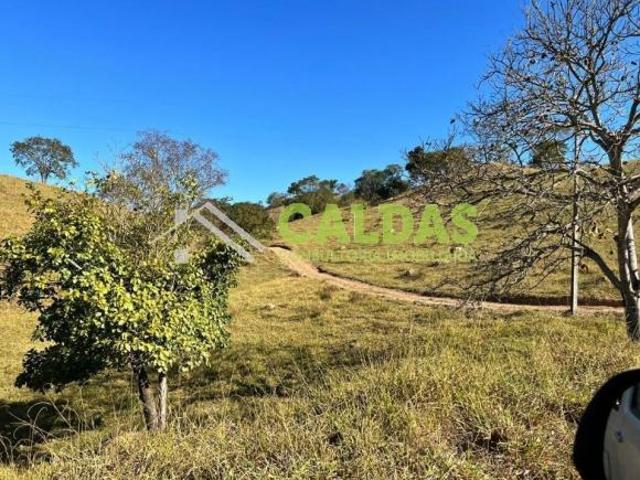 Fazenda para venda em Setor Central, Pires do Rio