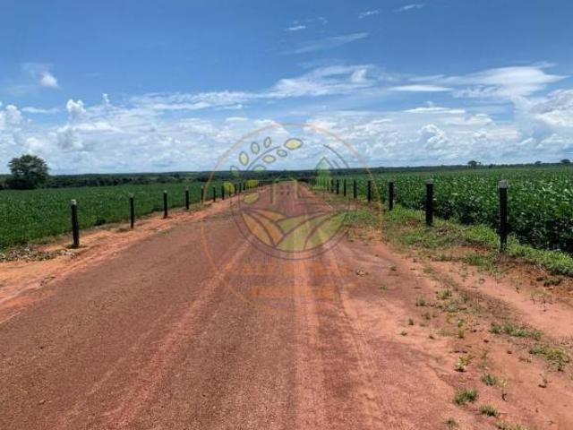 Fazenda para venda em Setor Central, São Miguel do Araguaia