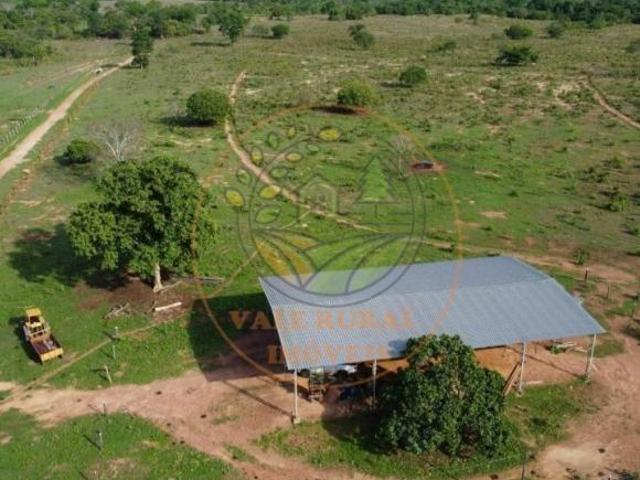 Fazenda para venda em Setor Aeroporto, Goiânia