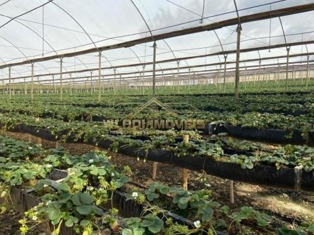 Fazenda para Venda em Senador Amaral, 6km da cidade