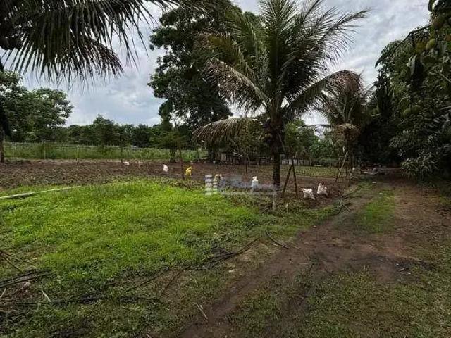 Fazenda para Venda em Serra Azul/SP Centro 1 Quartos