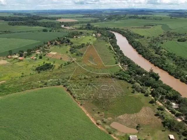 Fazenda para Venda em Serra Azul/SP Zona Rural 3 Quartos