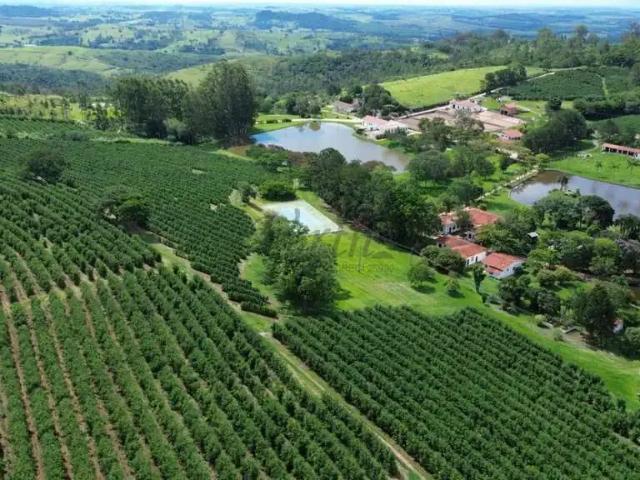 Fazenda para Venda em Serra Negra/SP Centro 30 Quartos