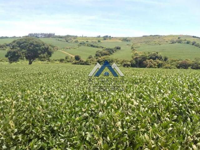 Fazenda para Venda em Sertanópolis/PR Zona Rural