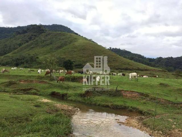 Fazenda para Venda em Silva Jardim/RJ Bananeiras 5 Quartos