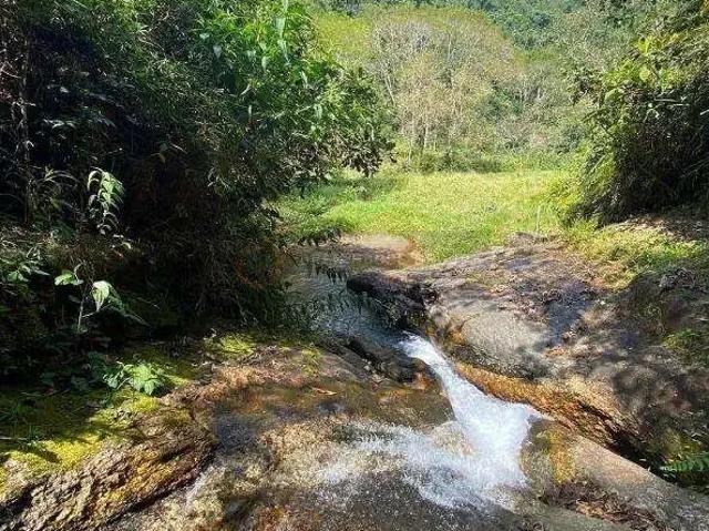Fazenda para Venda em Silva Jardim/RJ Varginha