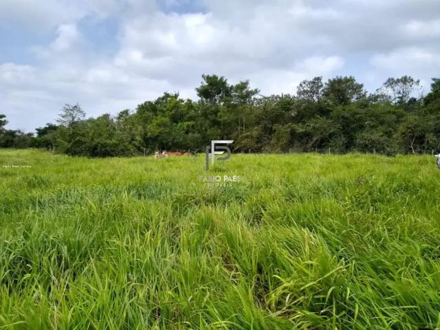 Fazenda para Venda em Silva Jardim/RJ Zona Rural 2 Quartos