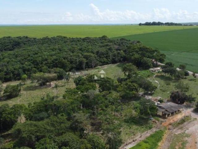 Fazenda para Venda em Silvânia, Município de Silvania