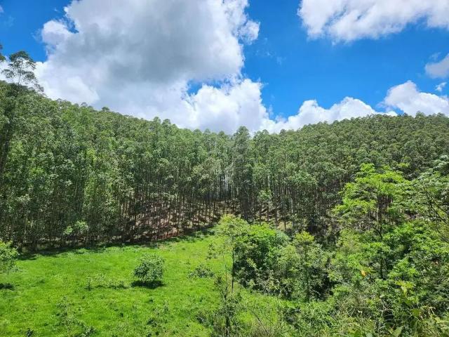 Fazenda para Venda em Silveiras/SP Centro