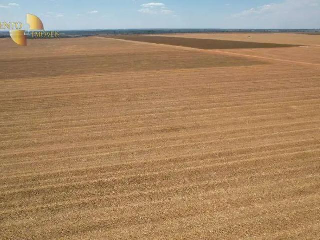 Fazenda para Venda em Sinop/MT Zona Rural