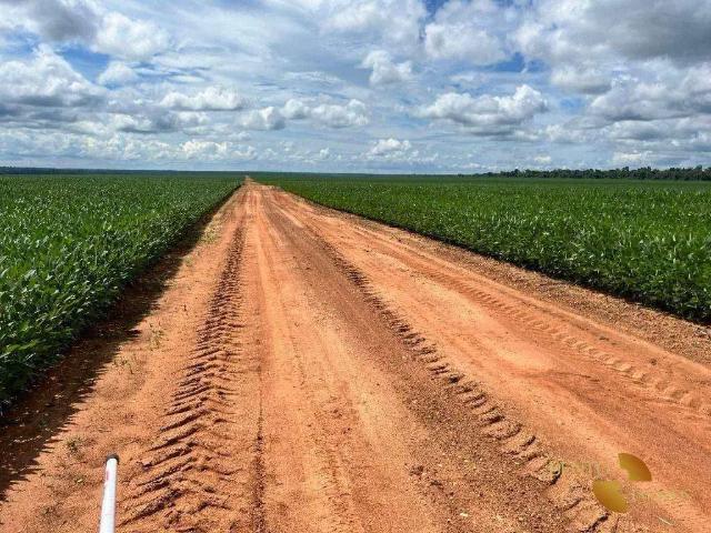 Fazenda para Venda em Sinop/MT Zona Rural