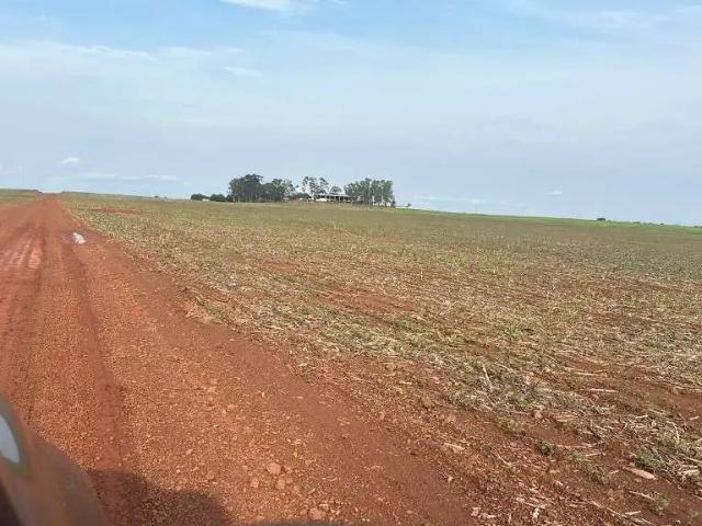 Fazenda para Venda em Sinop/MT Zona Rural