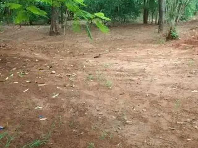 Fazenda para Venda em Suzanápolis/SP Zona Rural 2 Quartos