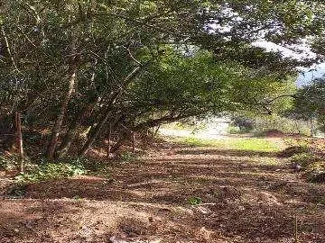Fazenda para Venda em Suzano/SP Jardim São Luís