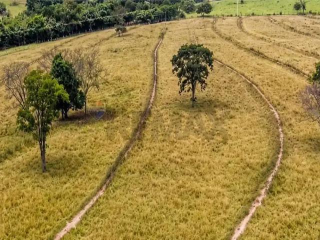 Fazenda para Venda em Potirendaba/SP Centro