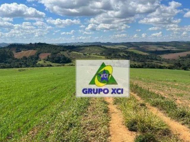 Fazenda para venda em Pouso Alegre