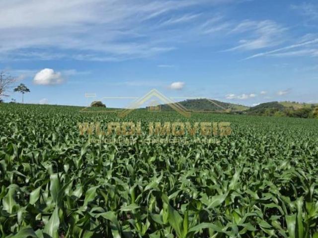 Fazenda para Venda em Pouso Alegre, 30 km da cidade