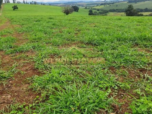 Fazenda para Venda em Pouso Alegre, 6 km da Rodovia Fernão Dias