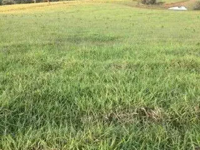 Fazenda para Venda em Pouso Alegre/MG Vila Ramos