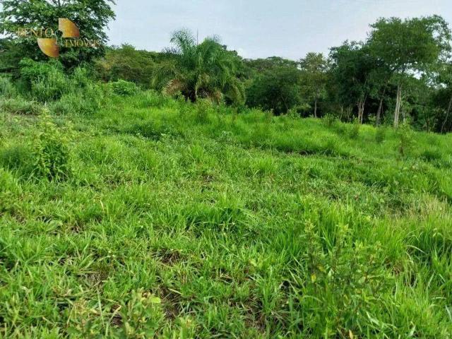 Fazenda para Venda em Poxoréu/MT Zona Rural