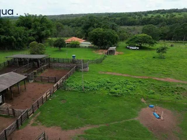 Fazenda para Venda em Poxoréu/MT Zona Rural