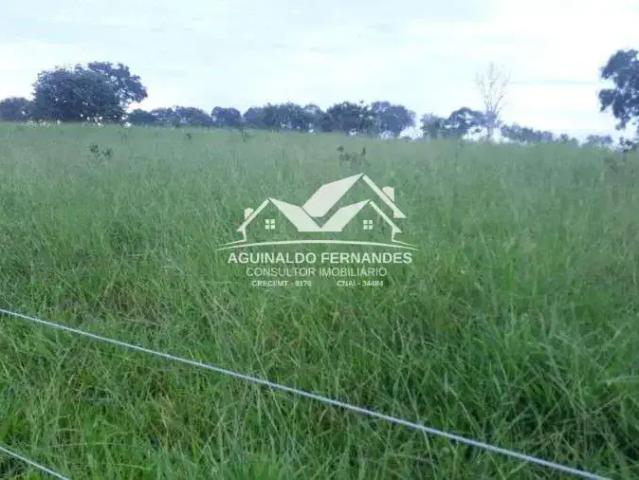 Fazenda para Venda em Poxoréu/MT Zona Rural