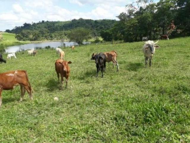 Fazenda para venda em Poços de Caldas