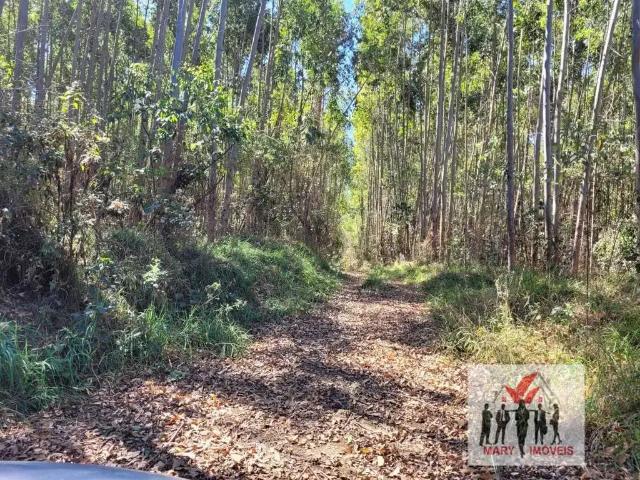 Fazenda para Venda em Poços de Caldas/MG Centro