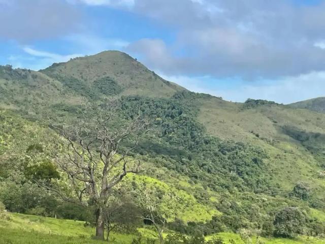 Fazenda para Venda em Poços de Caldas/MG Área Rural de Poços de Caldas