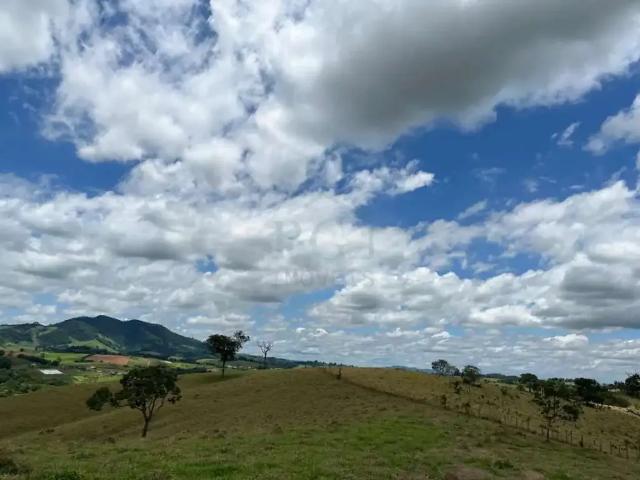 Fazenda para Venda em Poços de Caldas/MG Área Rural de Poços de Caldas