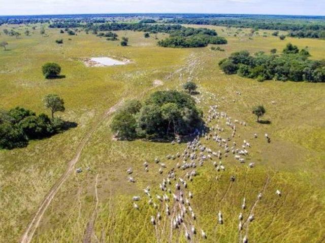 Fazenda para venda em Poconé