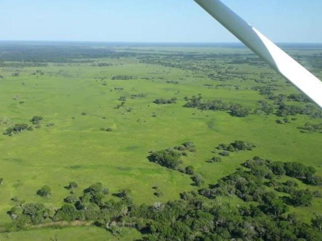 Fazenda para Venda em Poconé