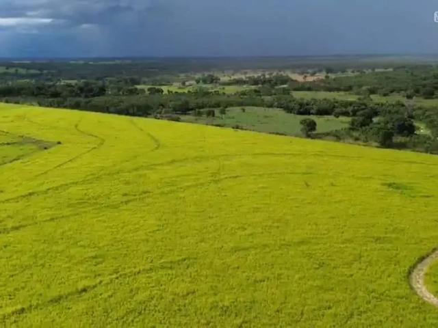 Fazenda para Venda em Poconé/MT Zona Rural 4 Quartos