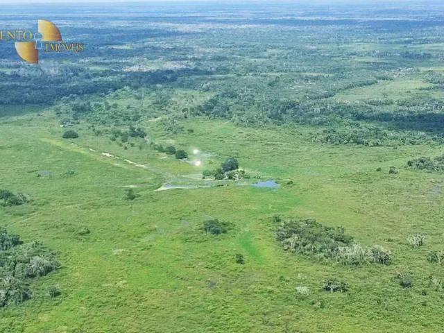 Fazenda para Venda em Poconé/MT Zona Rural