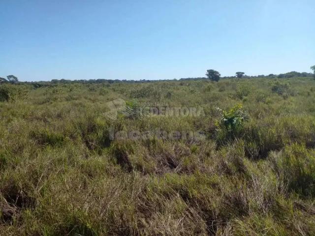 Fazenda para Venda em Poconé/MT Zona Rural