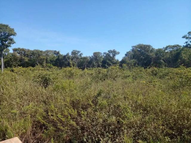 Fazenda para Venda em Poconé/MT Zona Rural