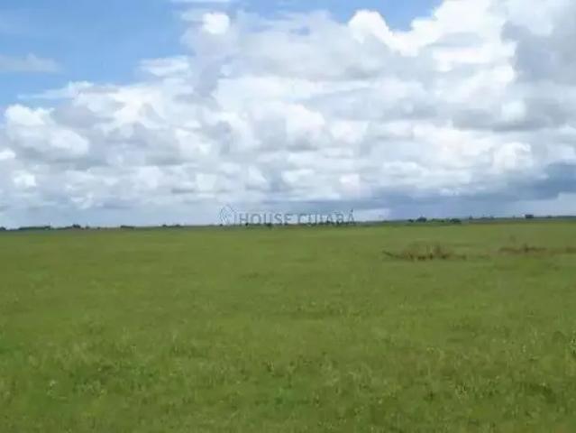 Fazenda para Venda em Poconé/MT Zona Rural 3 Quartos