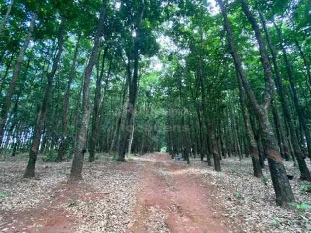 Fazenda para Venda em Poloni/SP Centro 2 Quartos