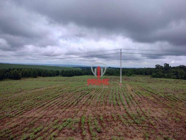 Fazenda para Venda em Ponta Grossa/PR Chapada