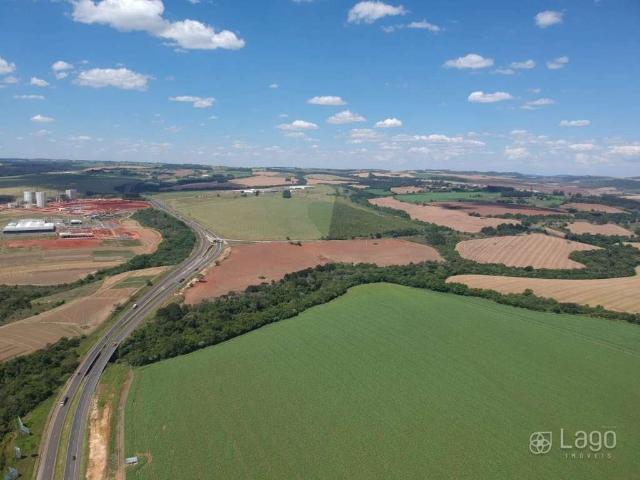 Fazenda para Venda em Ponta Grossa/PR Boa Vista