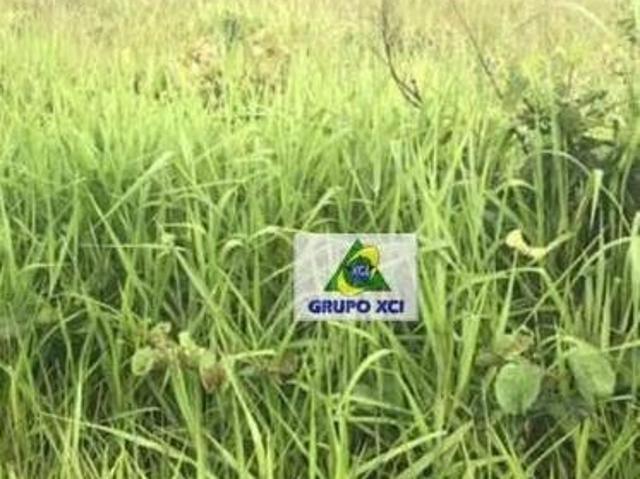 Fazenda para venda em Pontal do Araguaia